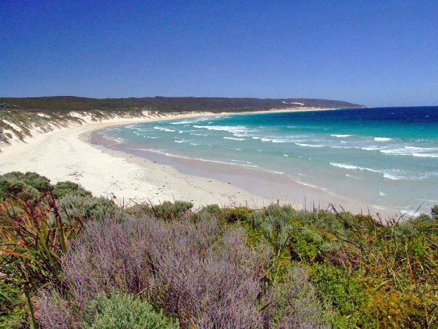 Cosy Corner & Bobs Hollow