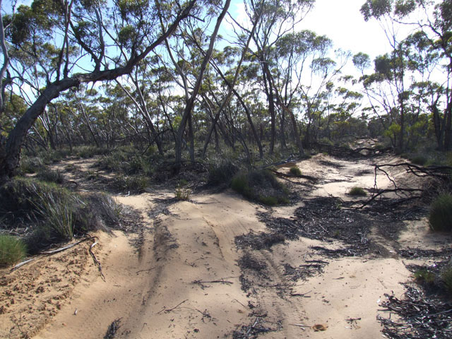 Dundas to Balladonia