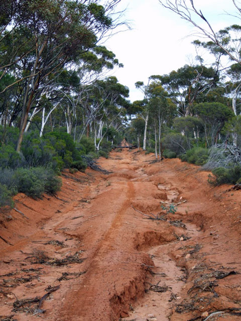 Dundas to Balladonia