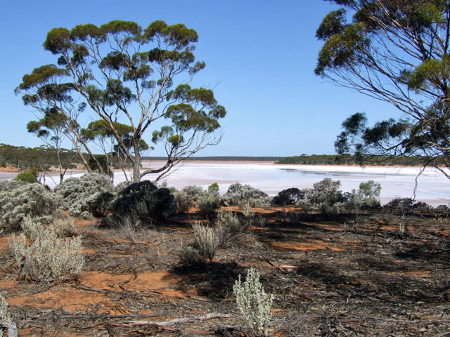 Dundas to Balladonia